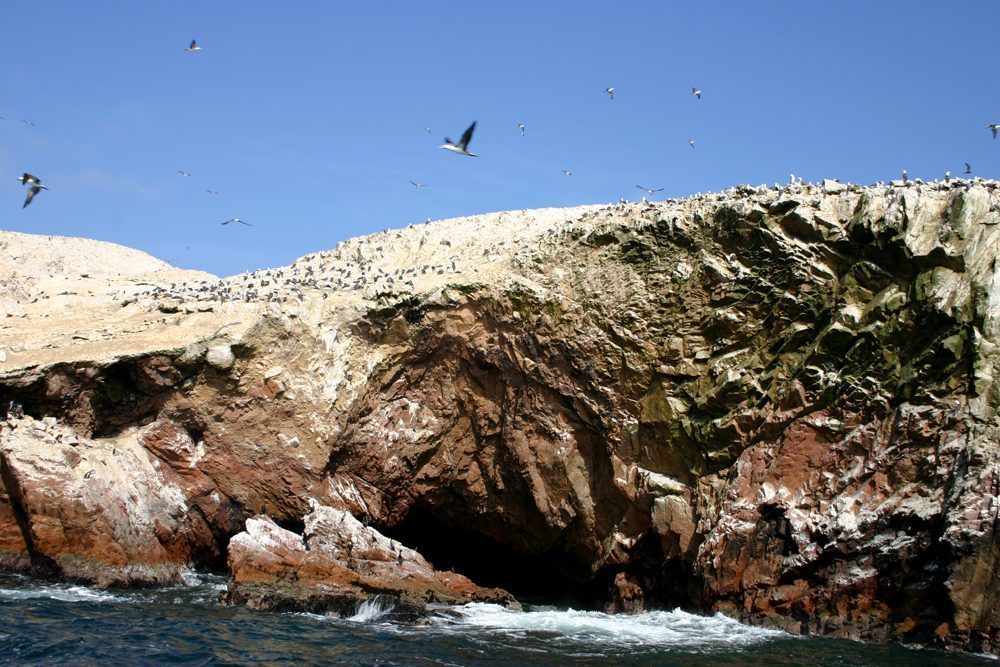 Photo Essay: Visiting the Ballestas Islands in Peru