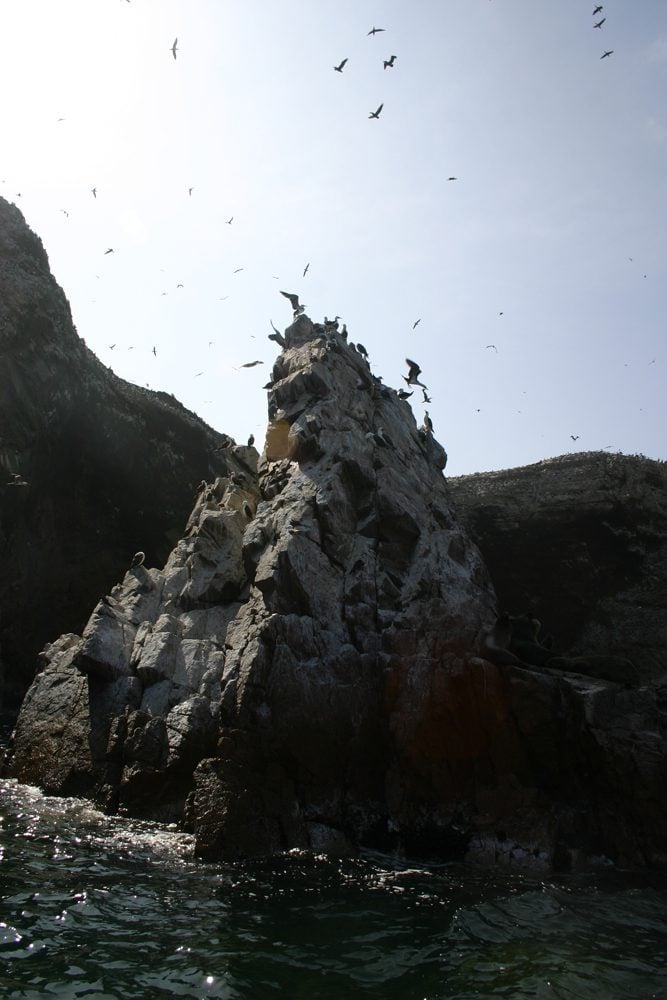 Ballestas Island Sanctuary