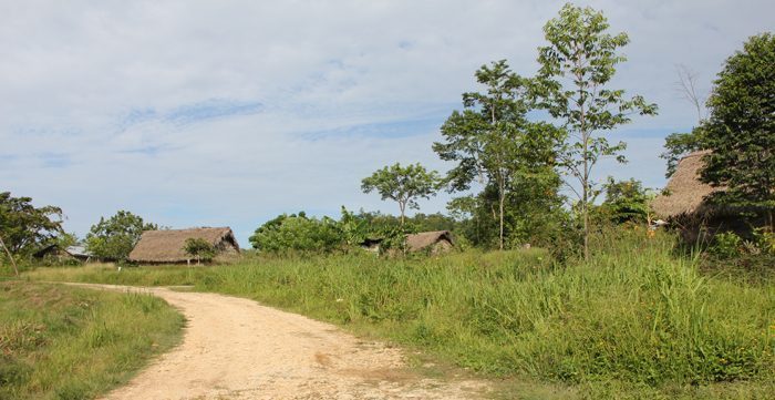 What a Day in a Maya Community Can Do