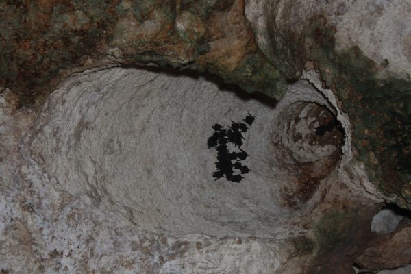 A Quick Adventure At Cueva Ventana