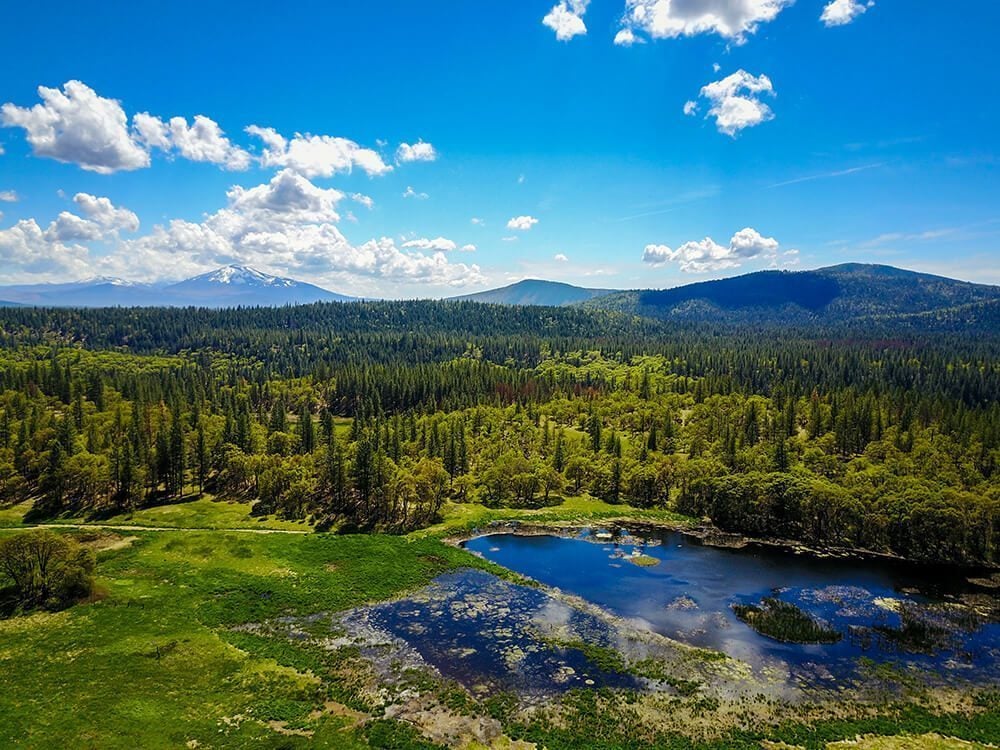 Redding: The Cool Outdoorsy City in California You’ve Never Heard Of