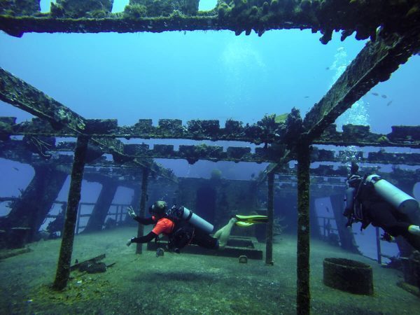 Diving in Cozumel : My 5 Best Dive Sites on the Cozumel Reef