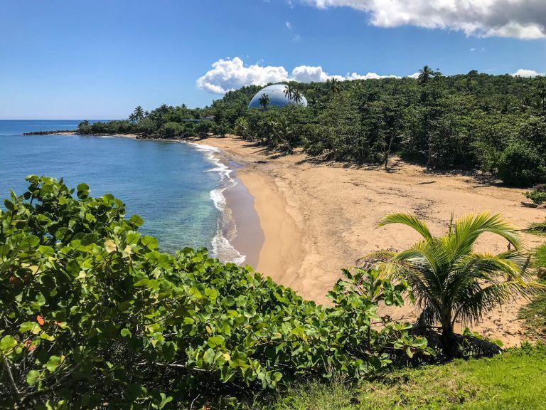 Discover Rincón: 14 Things To Experience the Best of Puerto Rico’s ...