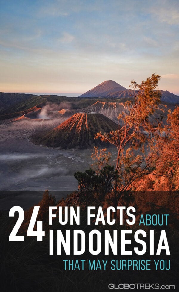 24 Fun Facts About Indonesia That May Surprise You
