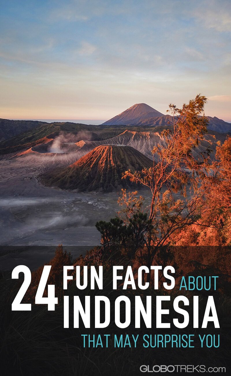 24 Fun Facts About Indonesia That May Surprise You