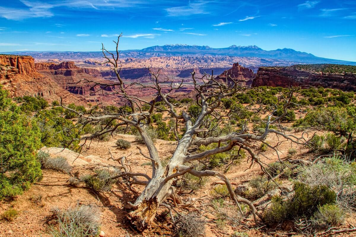 10 Moab Hikes With Stunning Landscapes | Explore the Best of Utah